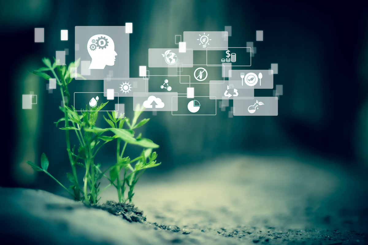 Data-driven, human-led: striking the balance in ESG transformation ...